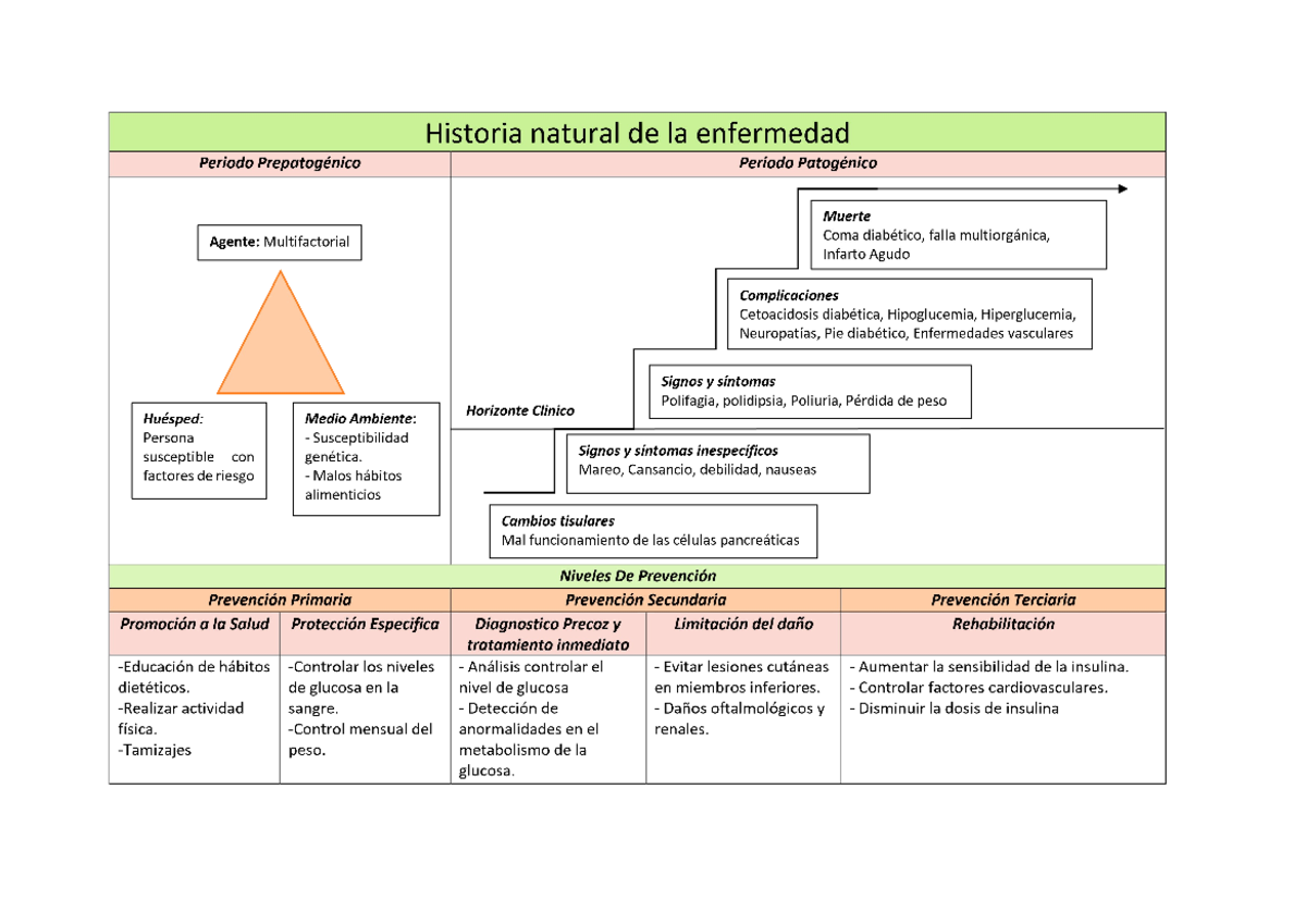 Historia natural de la enfermedad DBTS - Historia natural de la ...