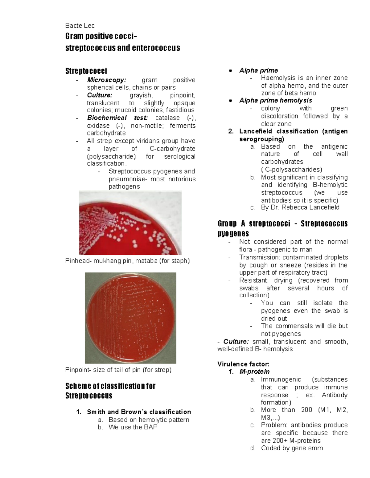 Streptococcus-and-enterococcus - Bacte Lec Gram positive cocci ...