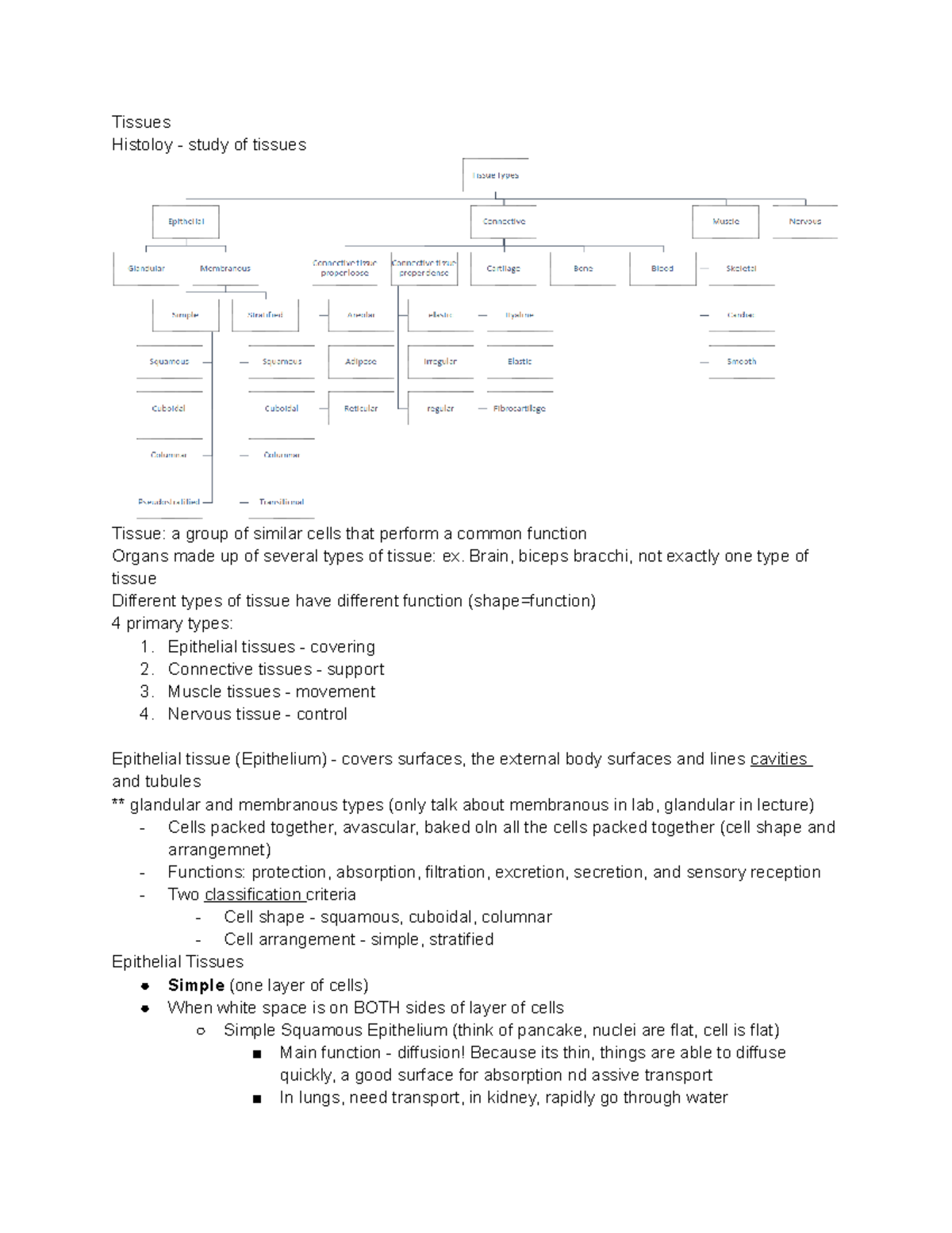 Lab notes: Unit 2 Histology - Tissues Histoloy - study of tissues ...