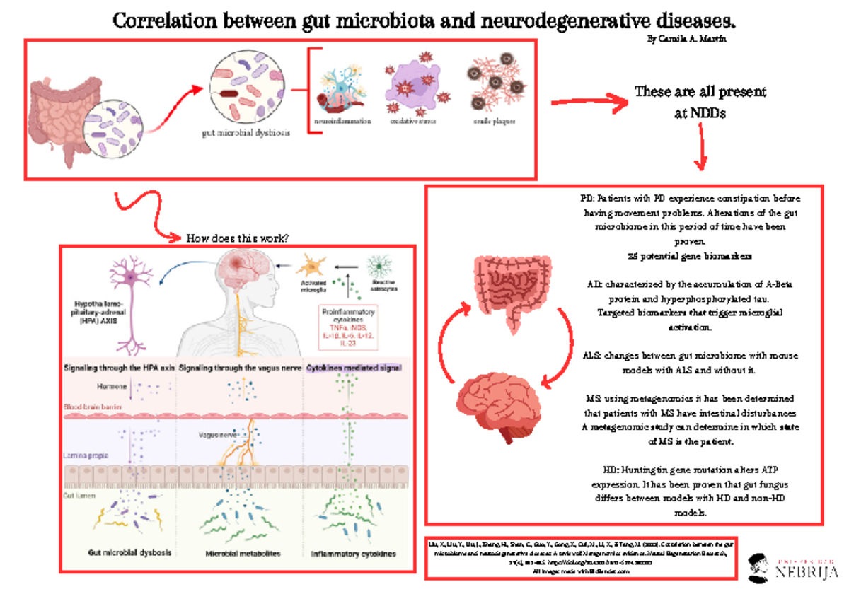 NDD - These are all present at NDDs PD: Patients with PD experience ...