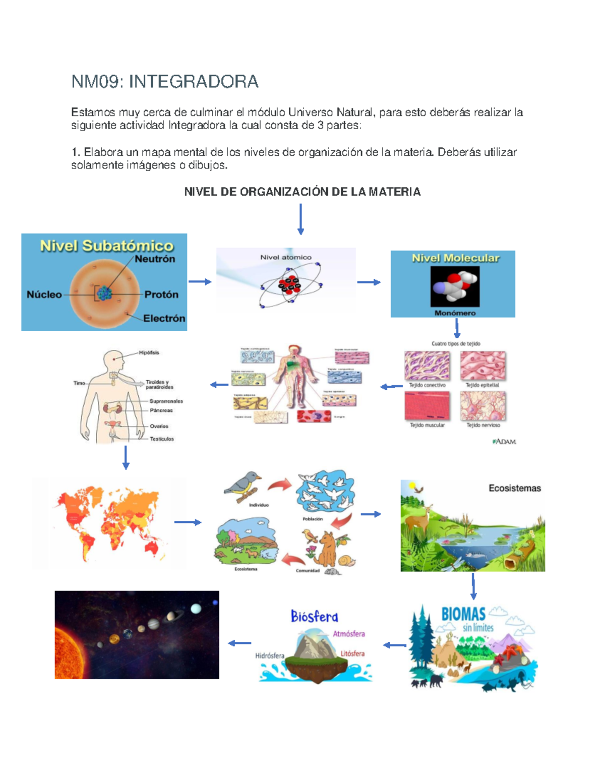 NM09 Integradora - tarea - NM09: INTEGRADORA Estamos muy cerca de ...