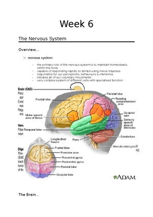 A-E Assesment - a to e assessment - CREATED BY KRYSTAL MCGEE, R ...
