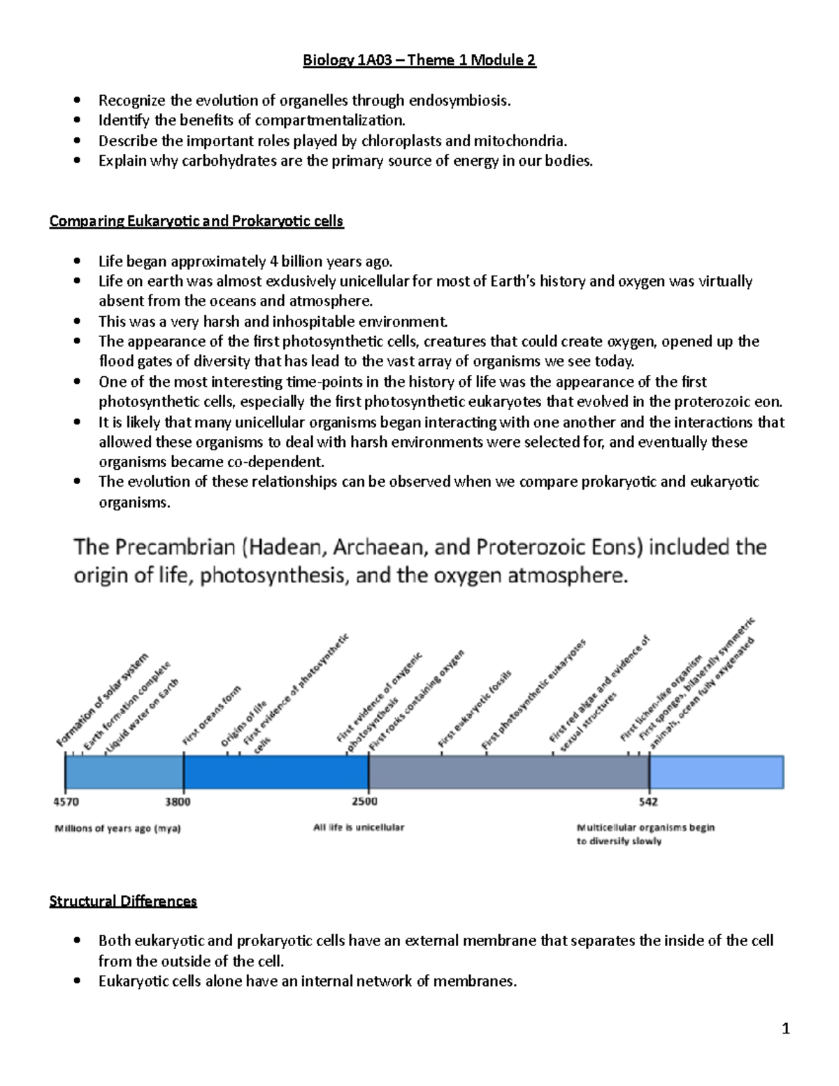 Biology 1A03 – Theme 1 Module 2 - Biology 1A03 – Theme 1 Module 2 ...