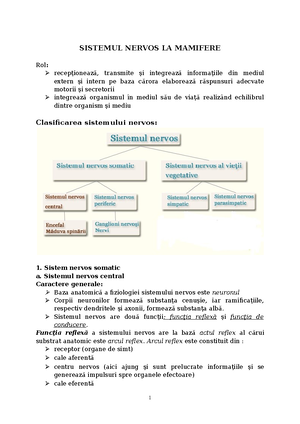 30443172 Introducere in Neurostiinte - 1 Universitatea Babe Bolyai ...