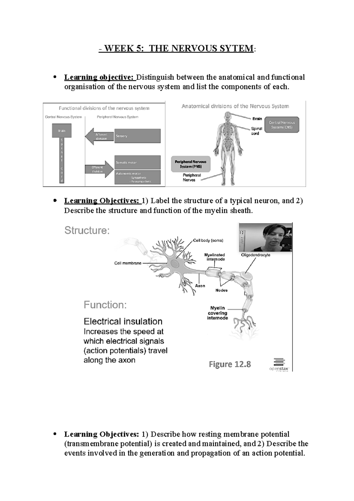 WEEK 5 - Lecture notes 5 - WEEK 5: THE NERVOUS SYTEM: Learning ...
