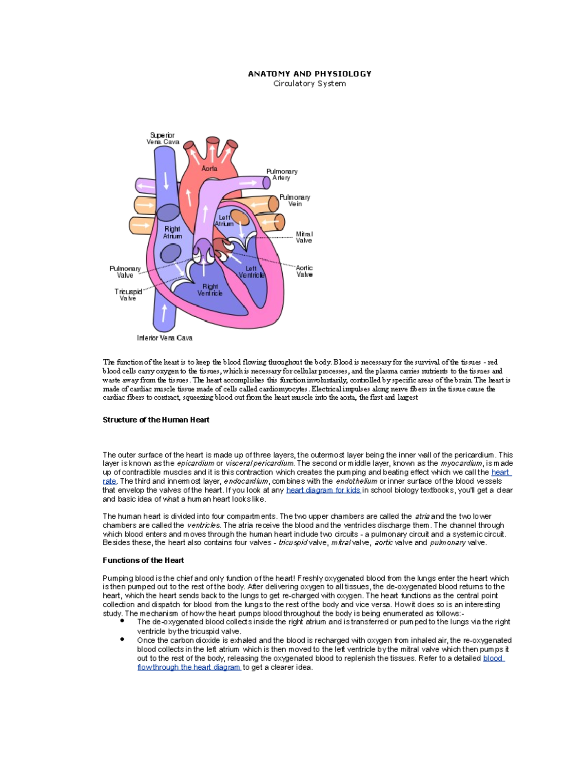 Anatomy and Physiology Review - ANATOMY AND PHYSIOLOGY Circulatory ...