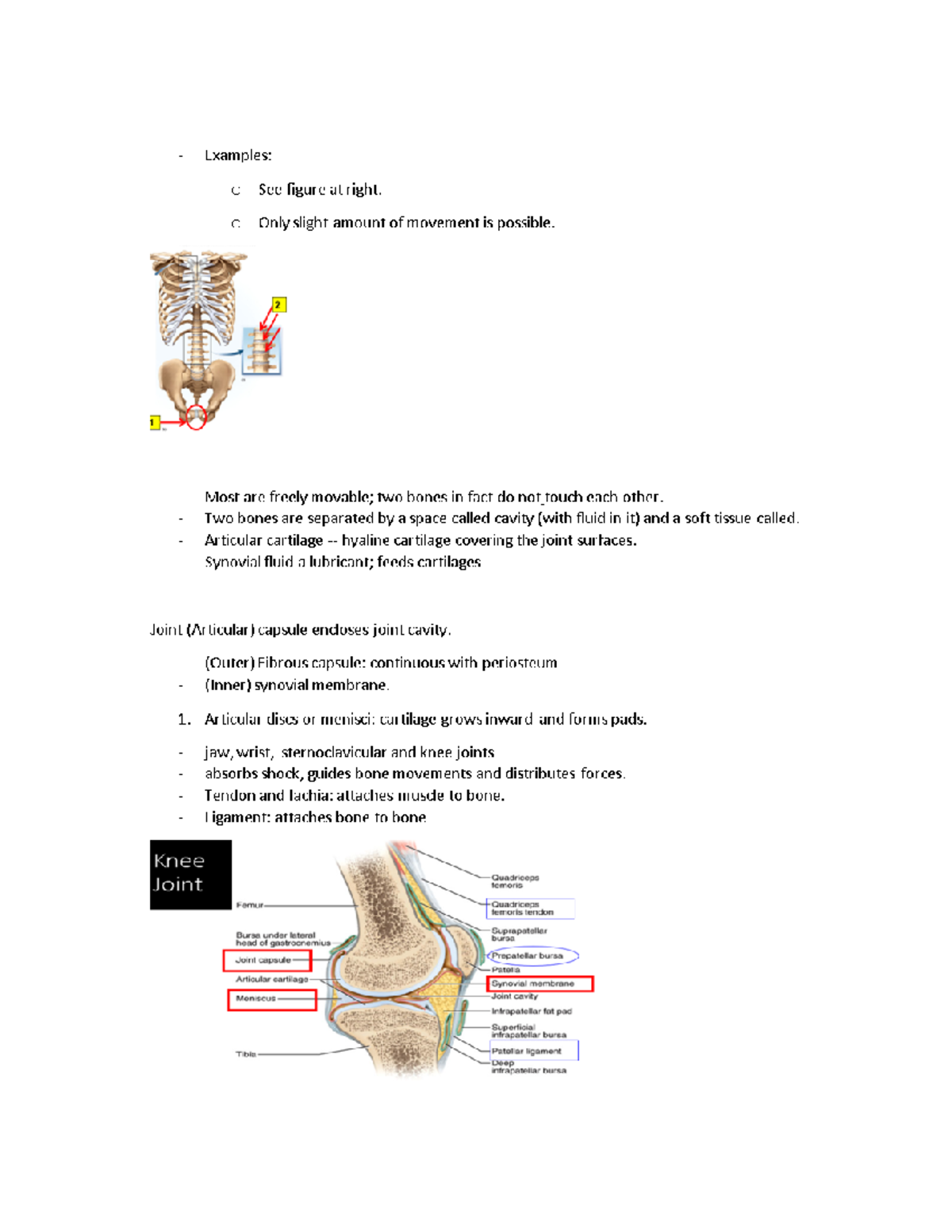 APL4 - Professor Benjamin - BIO 234 - Studocu