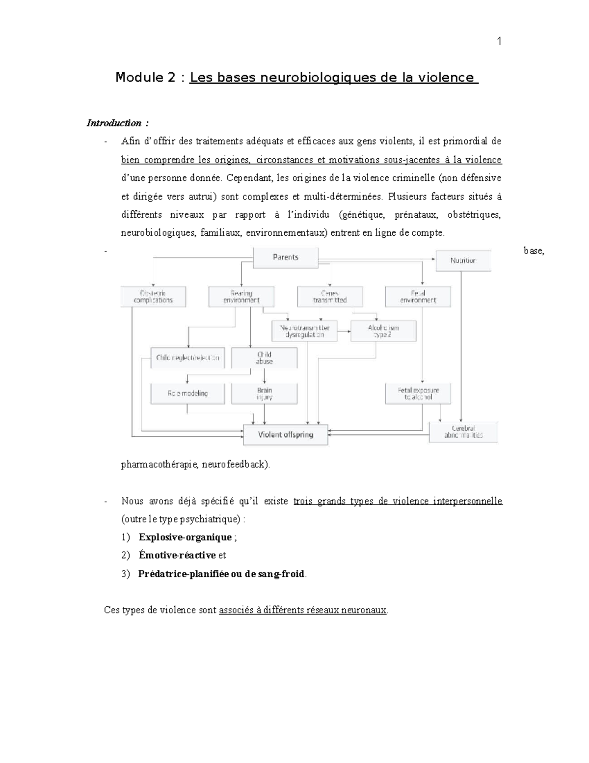 Module 2 Les bases neurobiologiques - Module 2 : Les bases ...