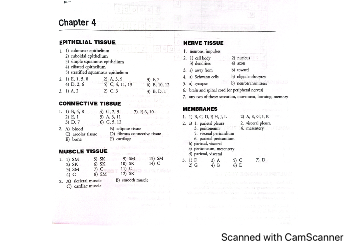 AP 4-9 - Answer Key for Anatomy workbook - Chapter 4 EPITHELIAL TISSUE ...