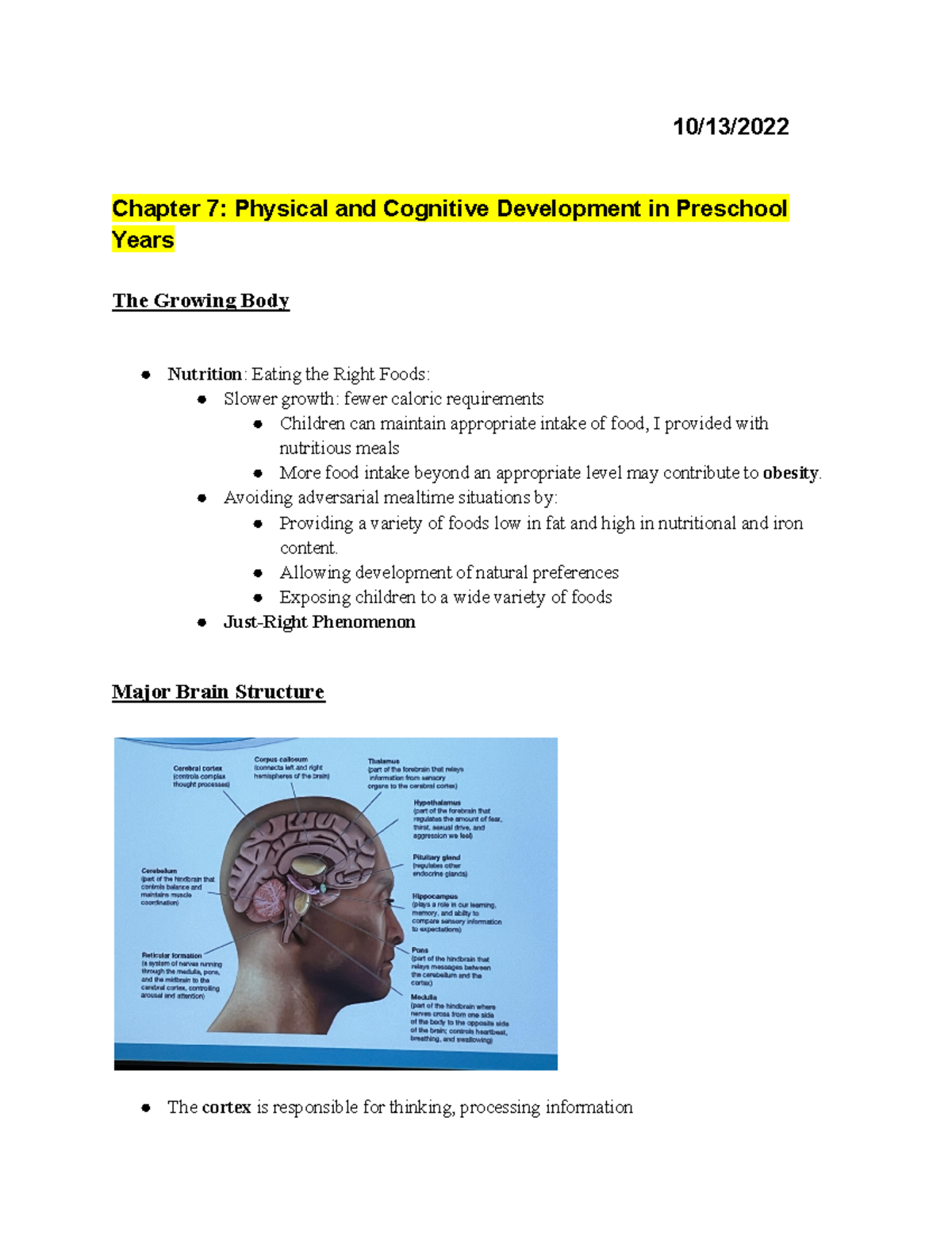 Developmental Psychology Chapter 7 - 10/13/ Chapter 7: Physical and ...
