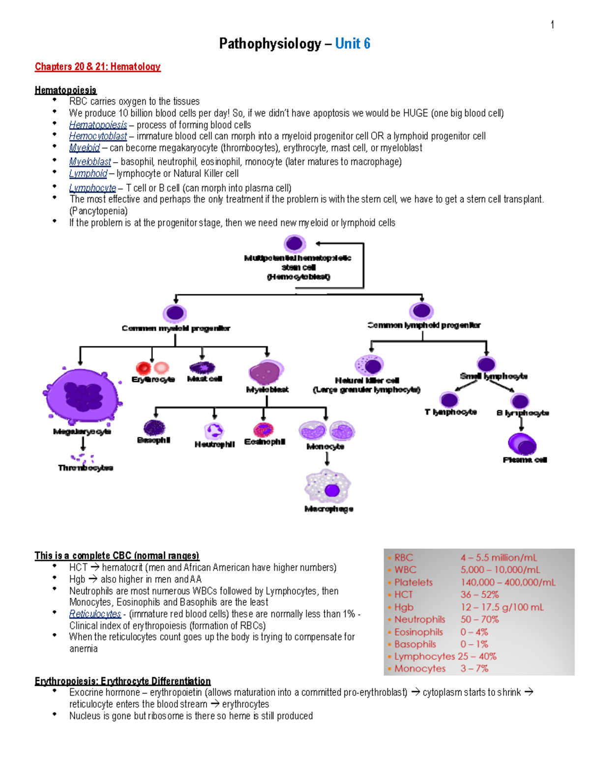 Patho Study Guide 3 - Unit 6 - Pathophysiology – Unit 6 Chapters 20 ...