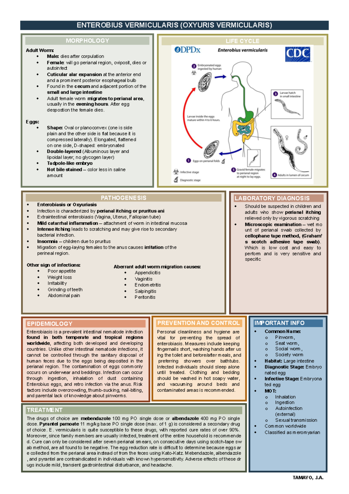 Parasitology - Intestinal Nematodes - ENTEROBIUS VERMICULARIS (OXYURIS ...