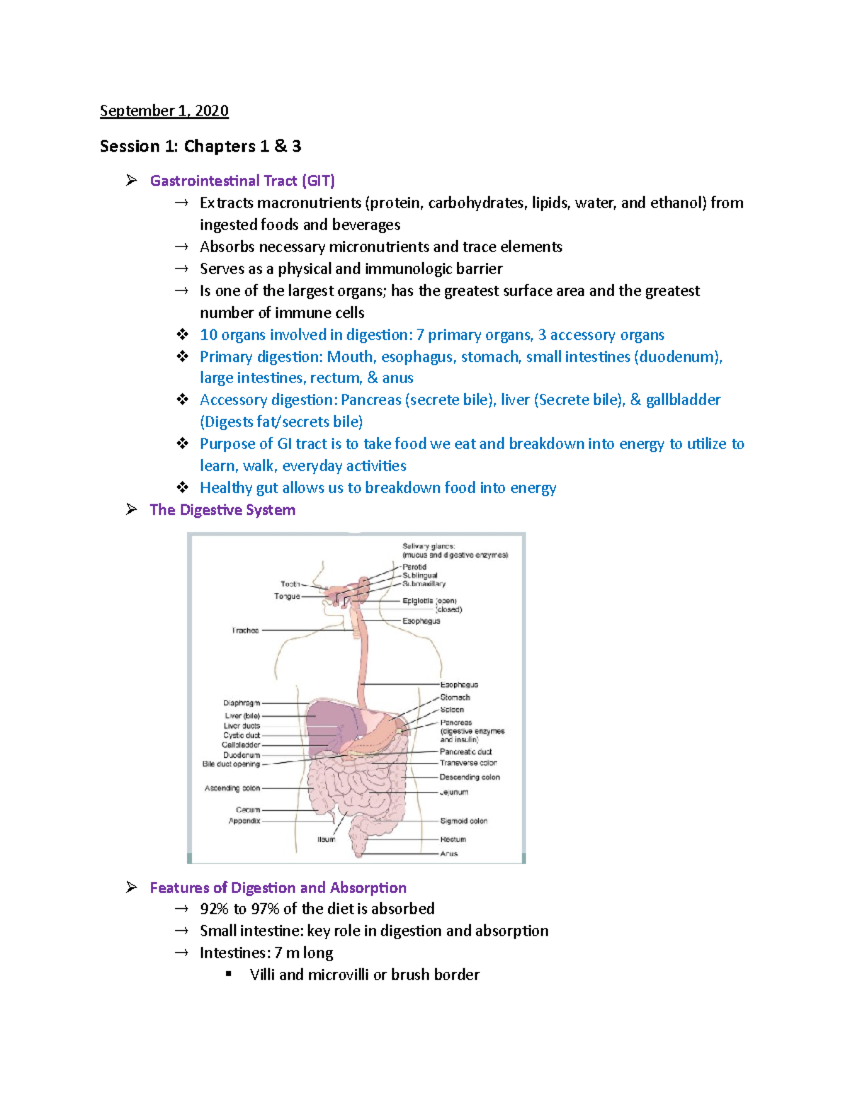 Session 1- Chapters 1 & 3 (Digestion & Vitamins and Minerals ...