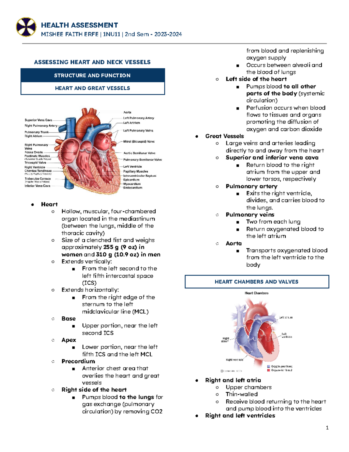 Health Assessment Lesson 1-5 Nursing - MISHEE FAITH ERFE | 1NU11 | 2nd ...