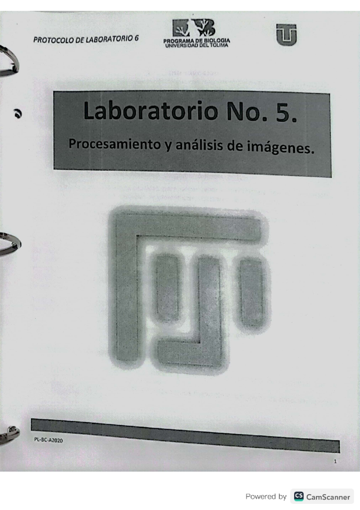Protocolo 6 Maria JOSE Nuñez- Procesamiento Y Analisis DE Imagen - biologa - Studocu