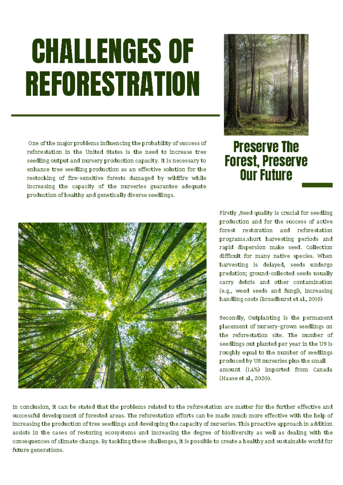 Challenges OF Reforestration - CHALLENGES OF REFORESTRATION Preserve ...