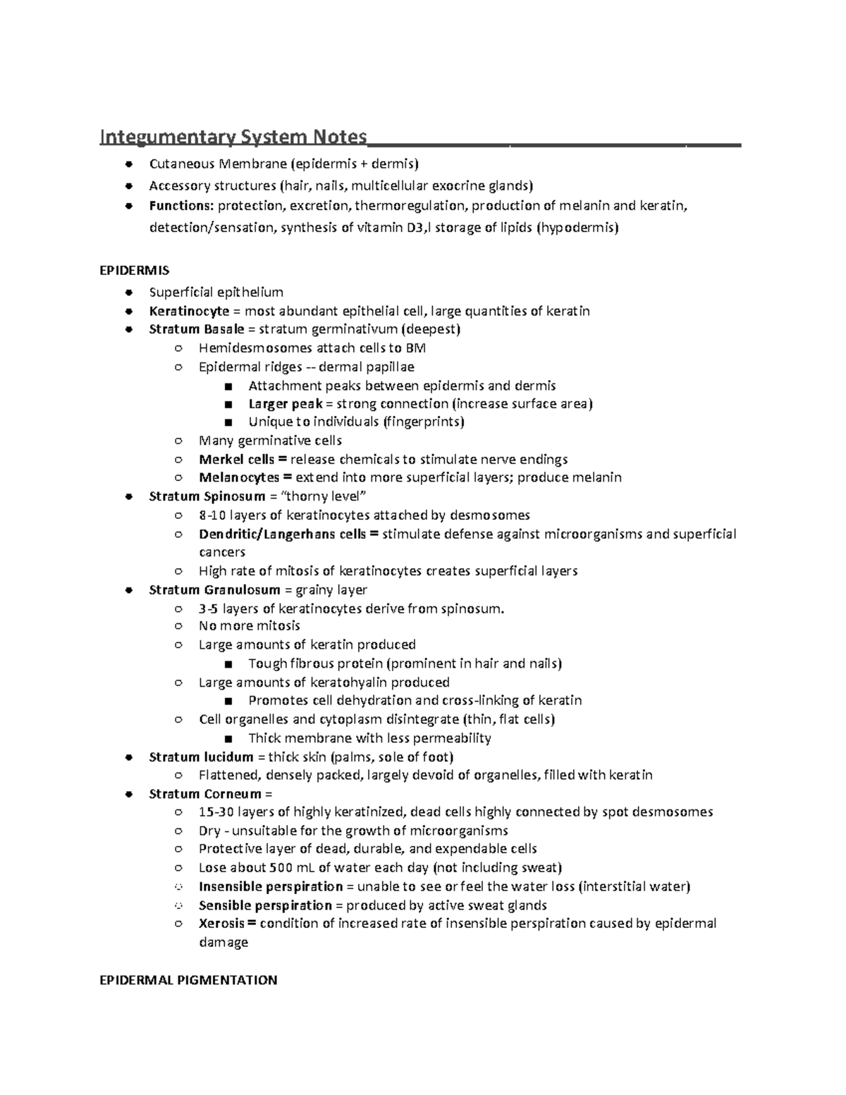 Anatomy: Chapter 5 notes - Integumentary System Notes ...