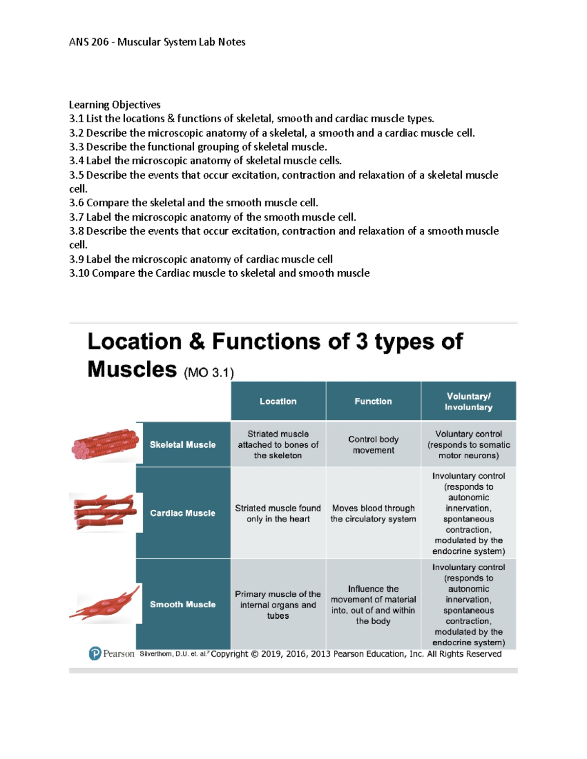 ANS 206 - Muscular System Lab Notes - Learning Objectives 3 List the ...