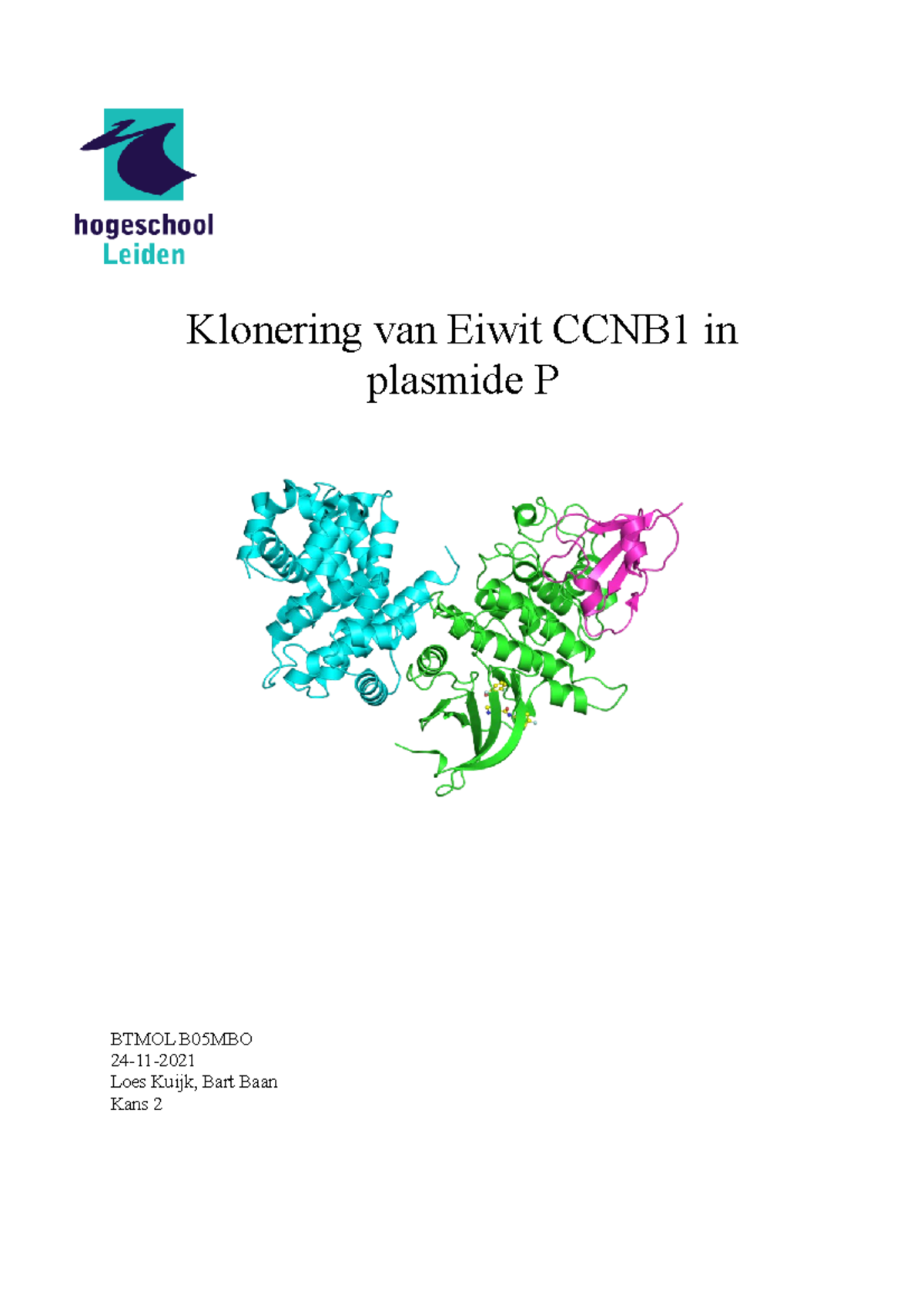 MBO verslag 2 klonering Eiwit CCNB1 in plasmide P - Moleculaire ...