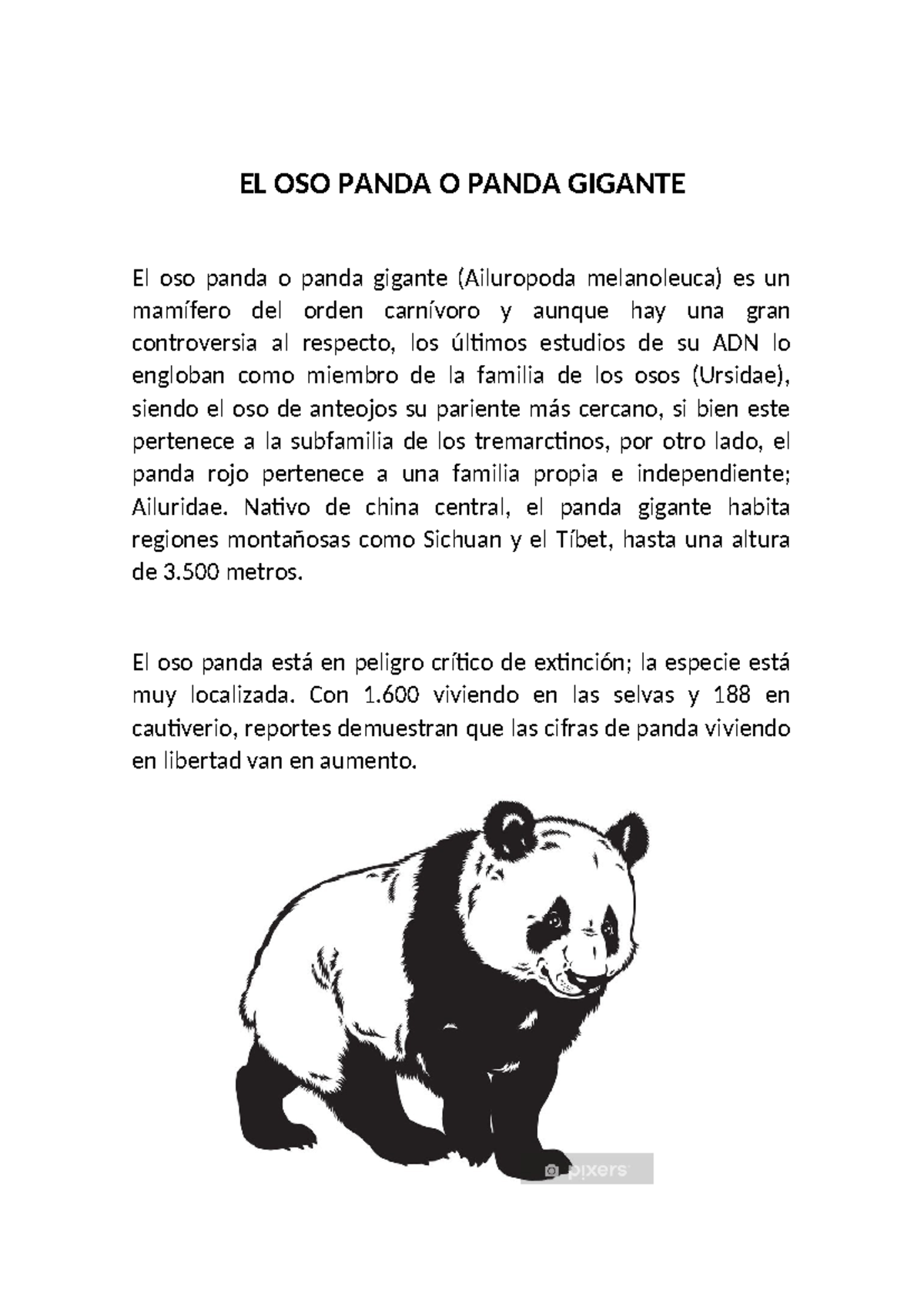 EL OSO Panda O Panda Gigante - EL OSO PANDA O PANDA GIGANTE El oso ...