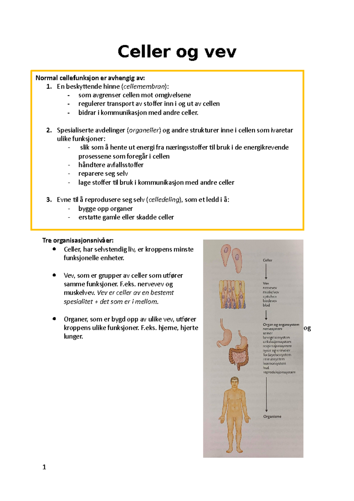 Celler og vev - Blokk 1, human biologi - Celler og vev Normal cellefunksjon er avhengig av: 1 ...