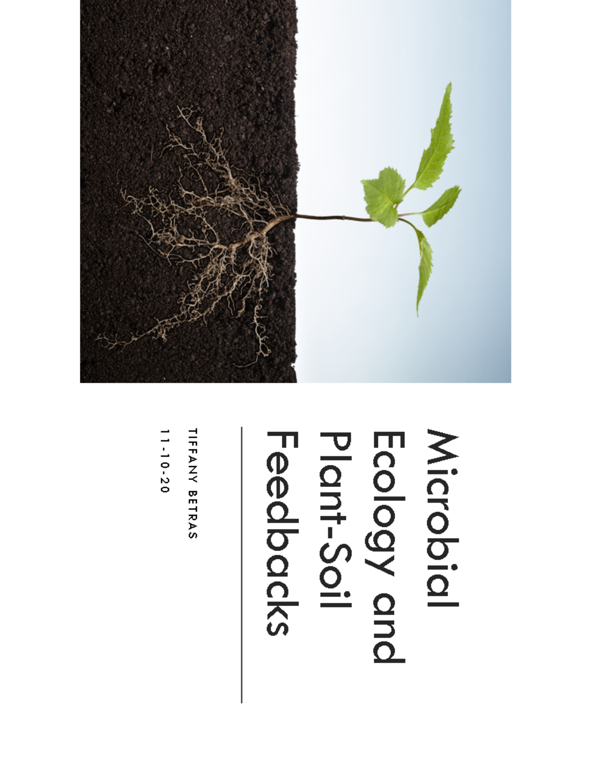 E4 Microbial ecology soil feedbacks - PlantEcology and Microbial -Soil ...