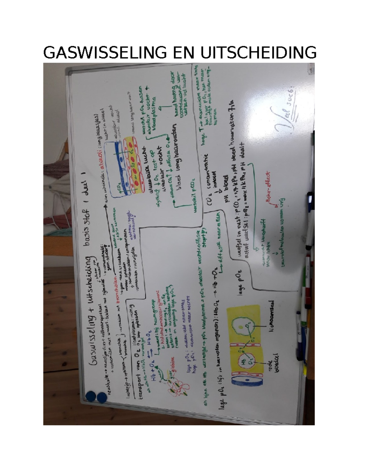 Gaswisseling EN Uitscheiding samenvatting - Biologie van Planten ...