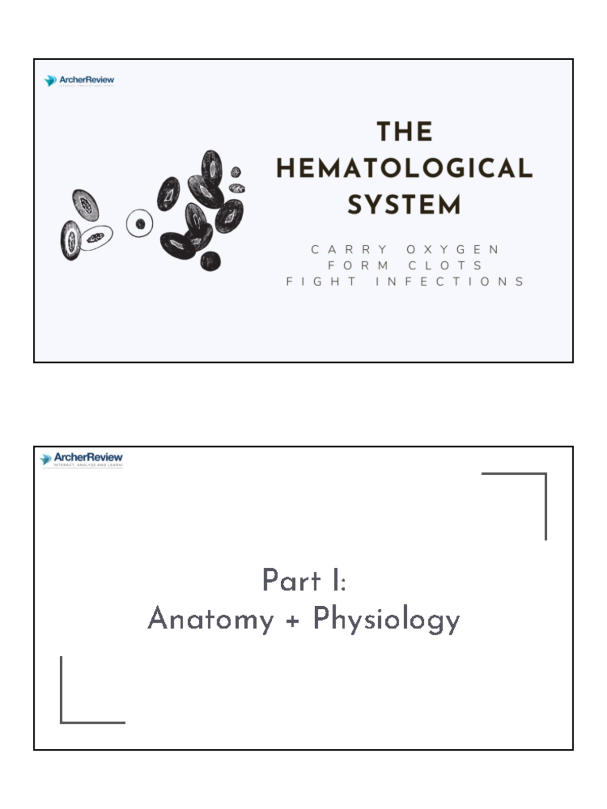 Hematologic system - Hematology & Infectious Disease Part I: Anatomy ...