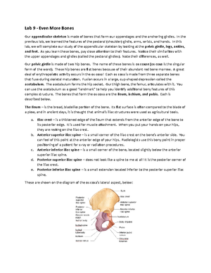Body Cavities and Regions - Lab 2 – Body Cavities Take a minute and ...