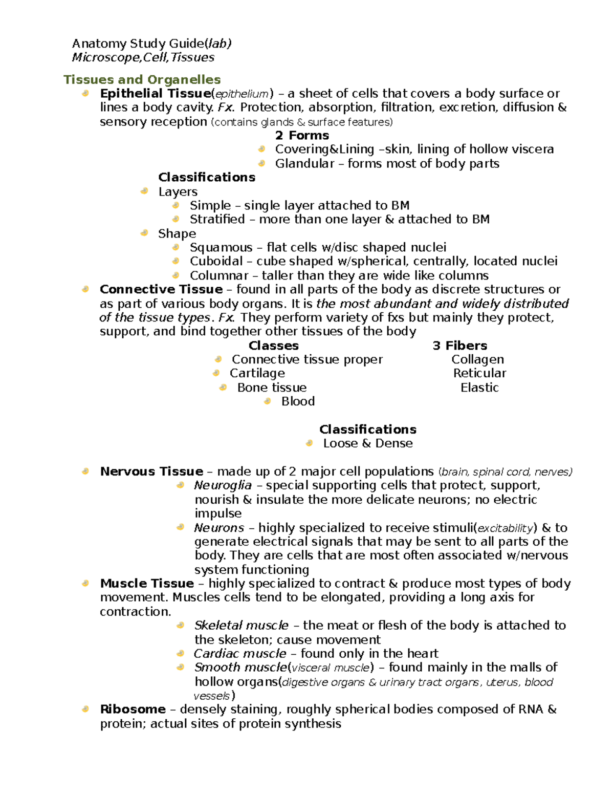 Anatomy SG 2 - position of body - Anatomy Study Guide(lab) Microscope ...