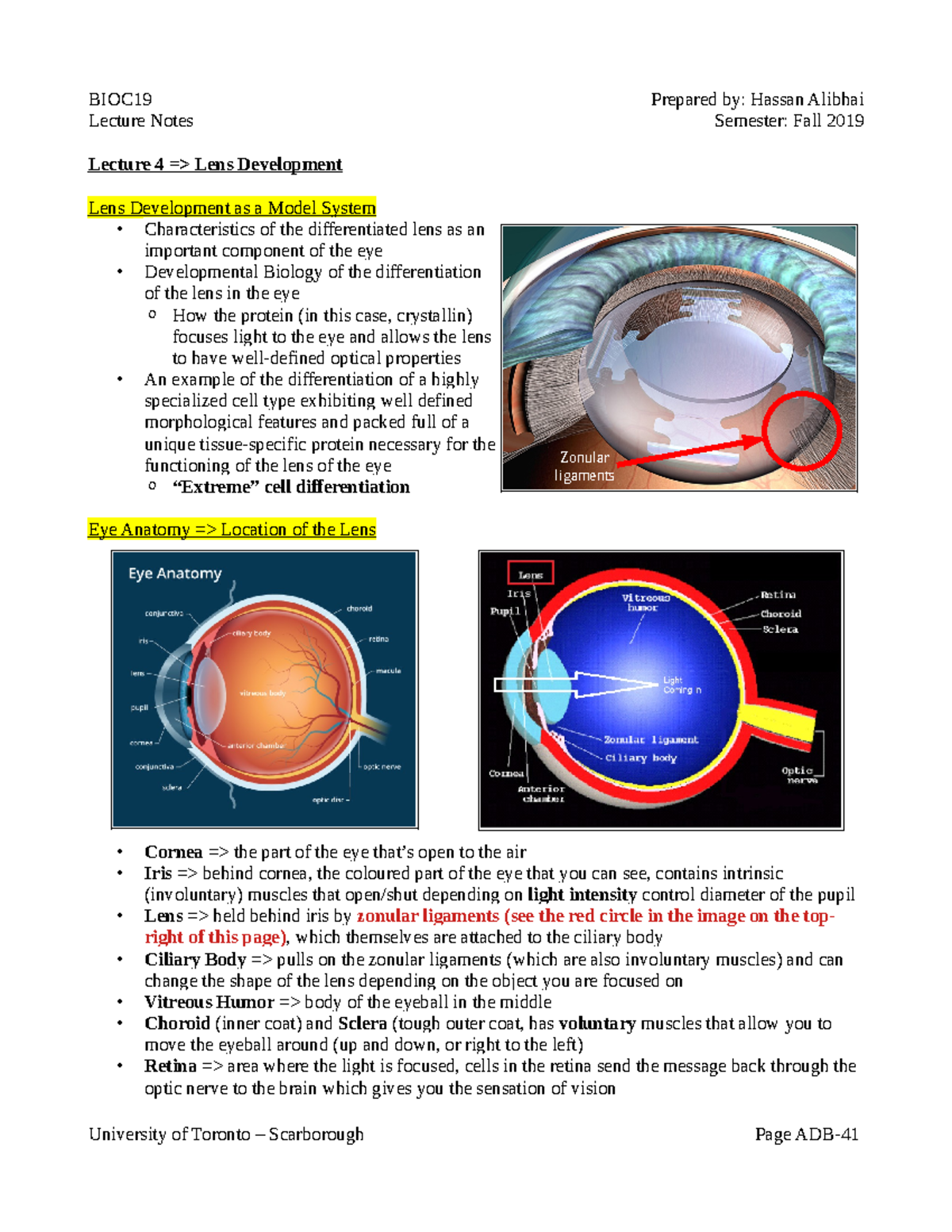 BIOC19 Lecture 4 Notes - Lecture Notes Semester: Fall 2019 Lecture 4 ...