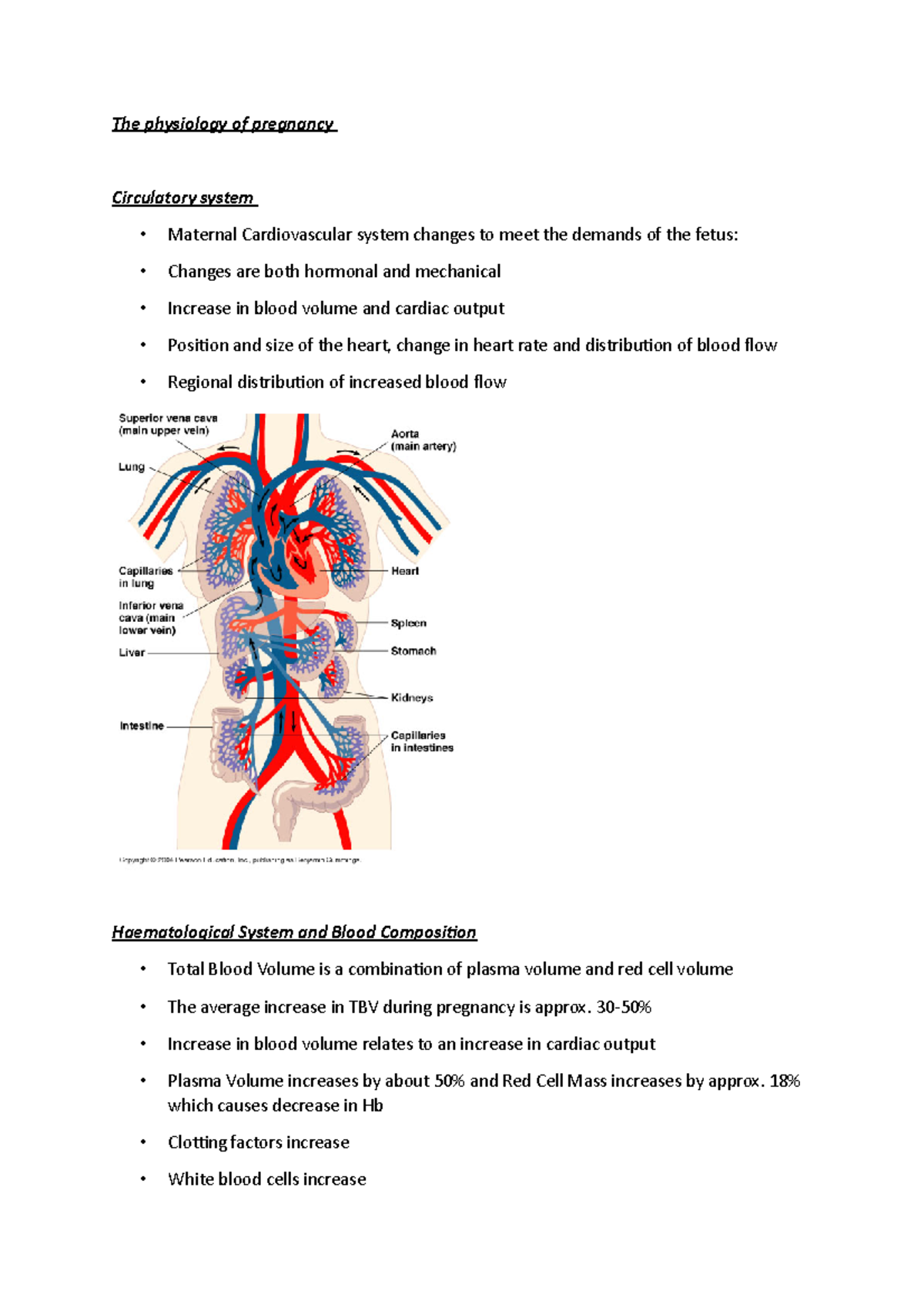 The physiology of pregnancy - The physiology of pregnancy Circulatory ...