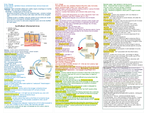 Bio Exam Cheat Sheet - Circulatory System: Blood: Cardiovascular System ...