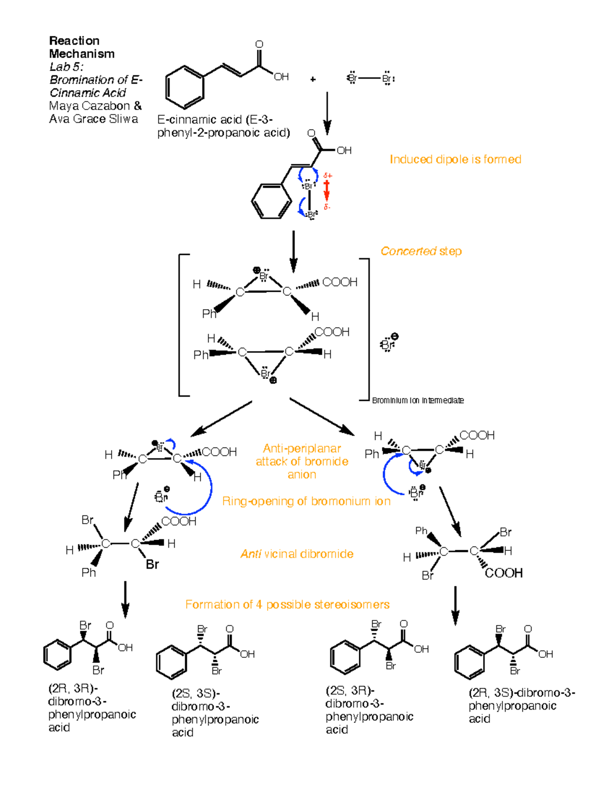 Rxn Mechanism - Lab 5 - OH O Br Br OH O 𝛿+ 𝛿- Br Br C C Br H Ph COOH H ...