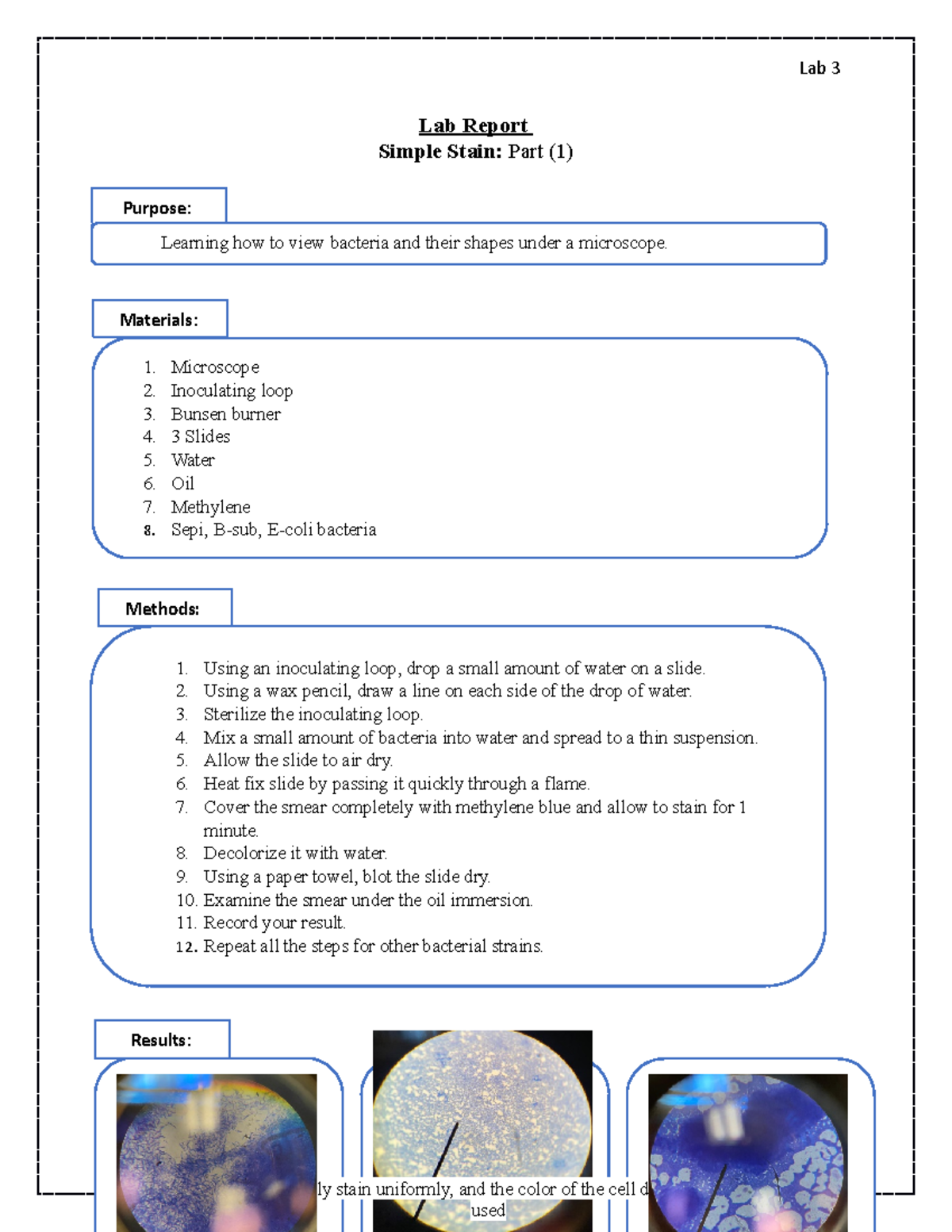 Lab report Lab 3 two parts copy - Lab 3 Lab Report Simple Stain: Part ...