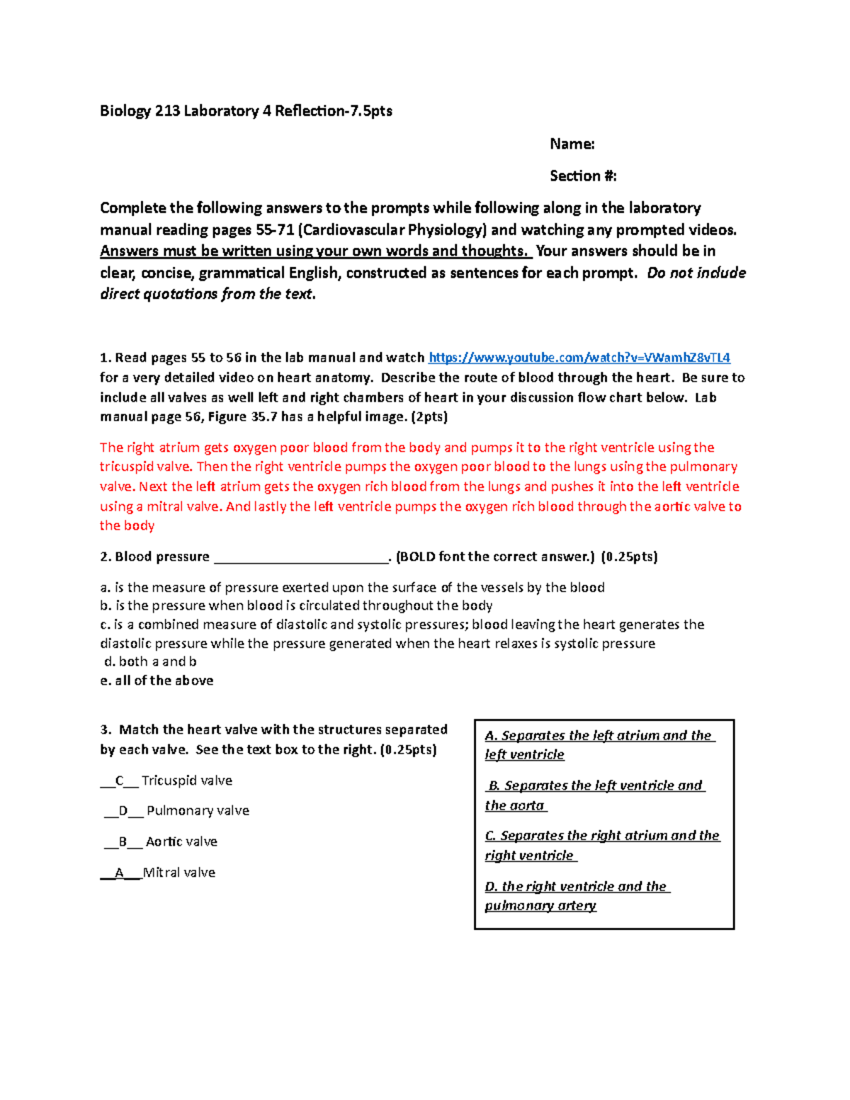 biol 213 lab exp. 4 - Biology 213 Laboratory 4 Relecion-7 Name: Secion #: Complete the following ...