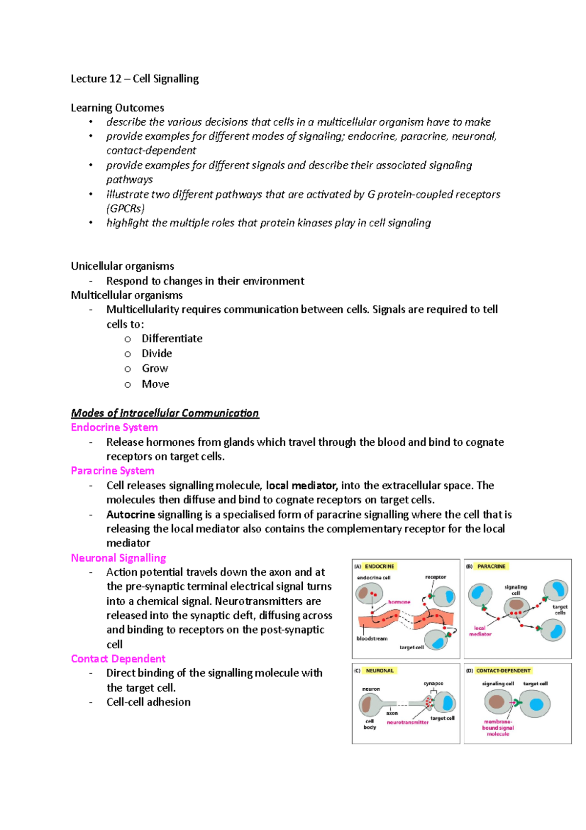 Lecture 12 - Lecture 12 – Cell Signalling Learning Outcomes - describe ...