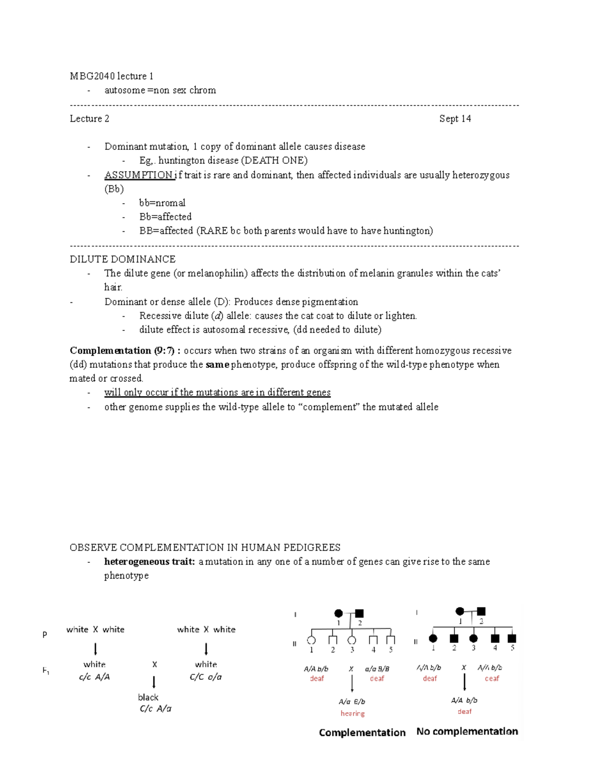 MBG 2040 - MBG 2040 lectures one to four complete notes - MBG2040 ...