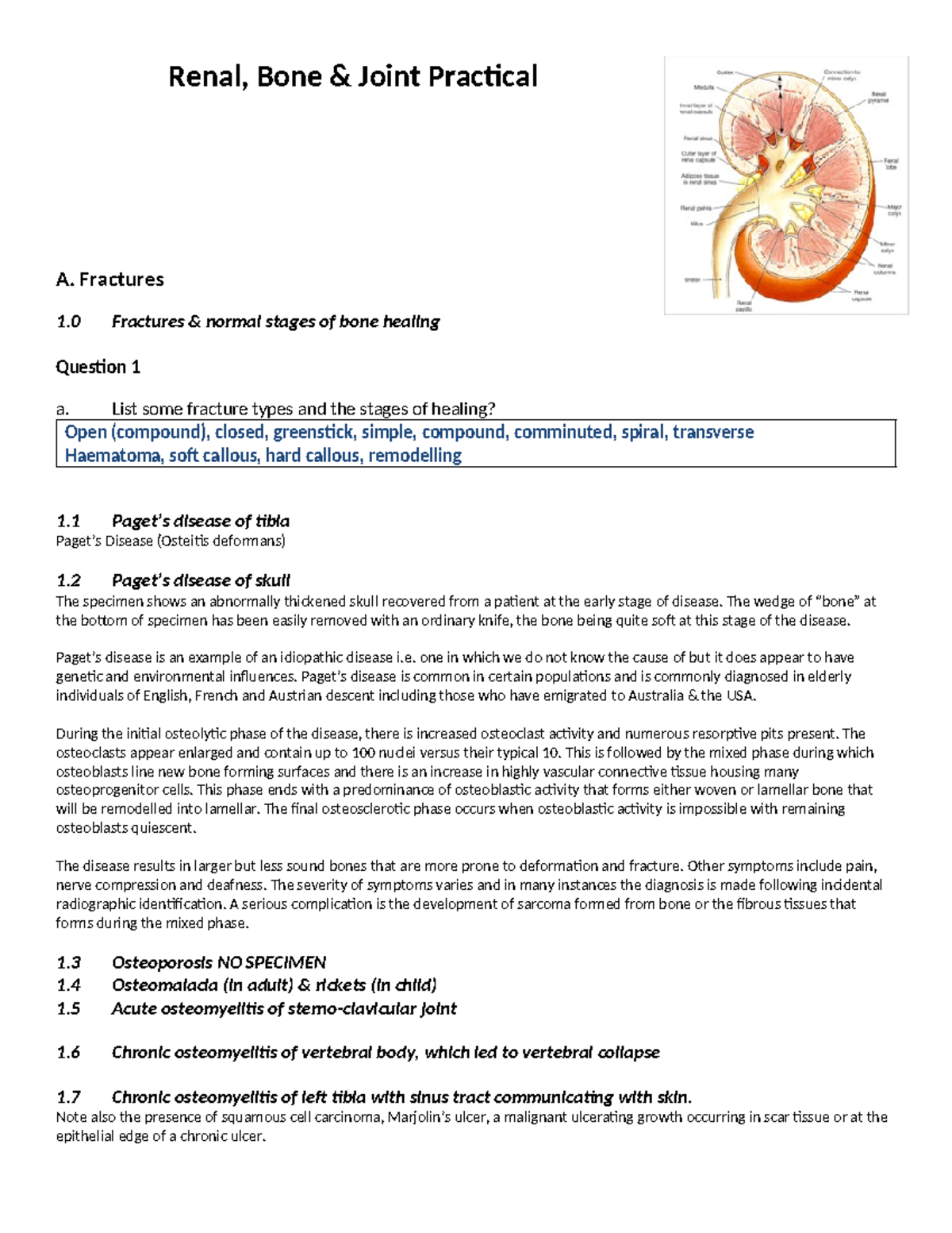 2023 Renal & Bone Practical Answers - Renal, Bone & Joint Practical A ...