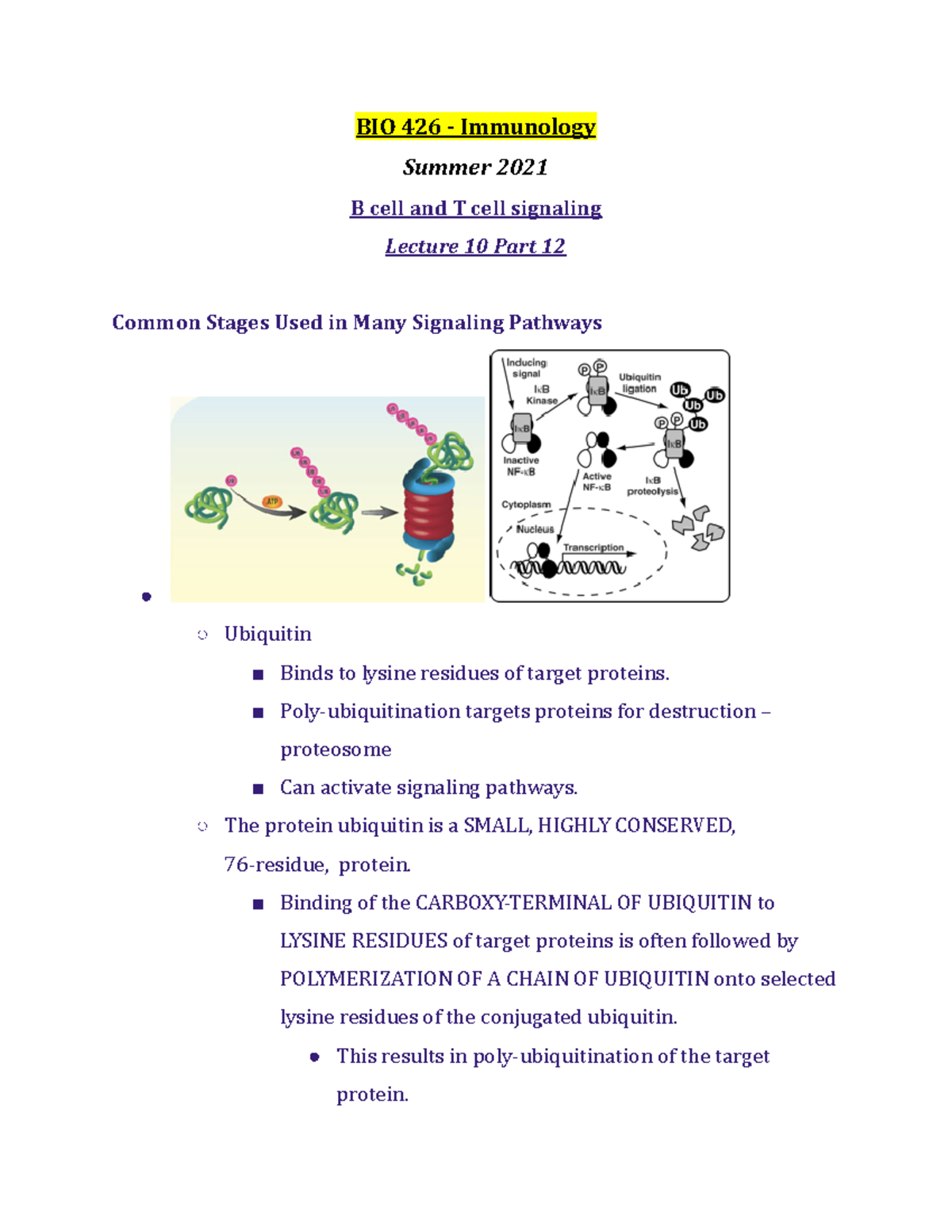 BIO 426 Lecture 10 Part 12 - Summer 2021 - BIO 426 - Studocu