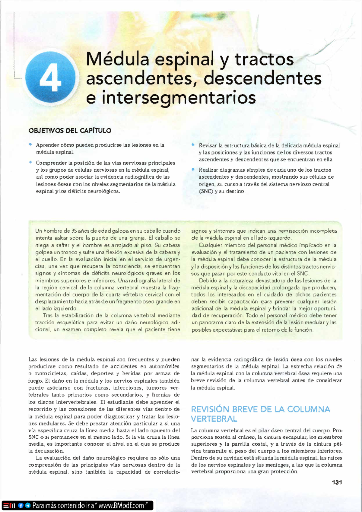Médula Espinal Y Tractos - 1 l_ Médula espinal y tractos ascendentes ...