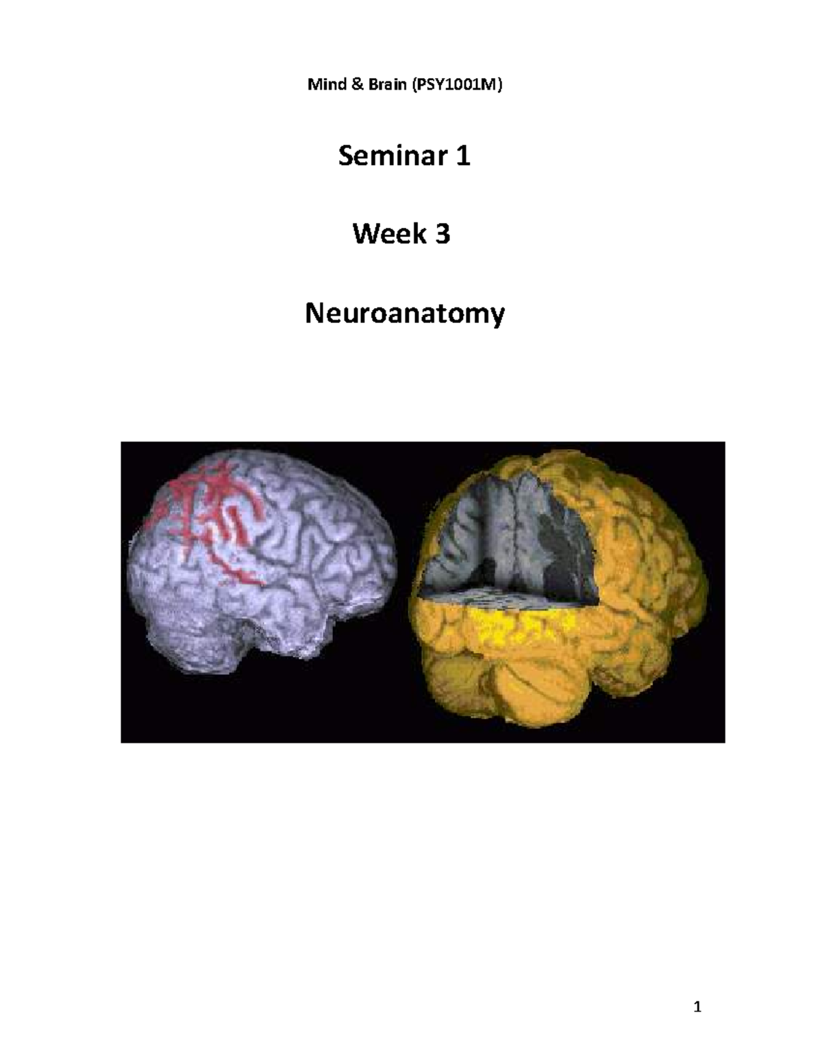 S1 Anatomy Instructions - Mind & Brain (PSY1001M) Seminar 1 Week 3 ...