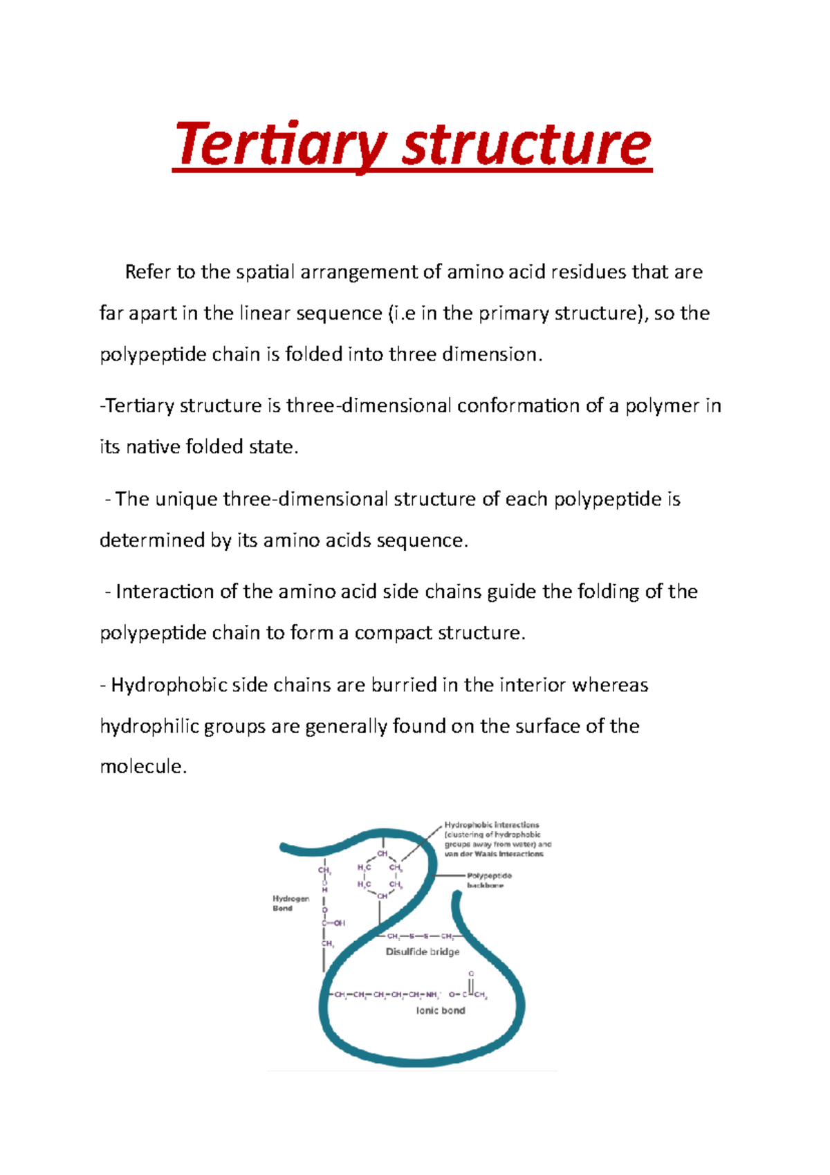 Tertiary structure - Tertiary structure Refer to the spatial ...