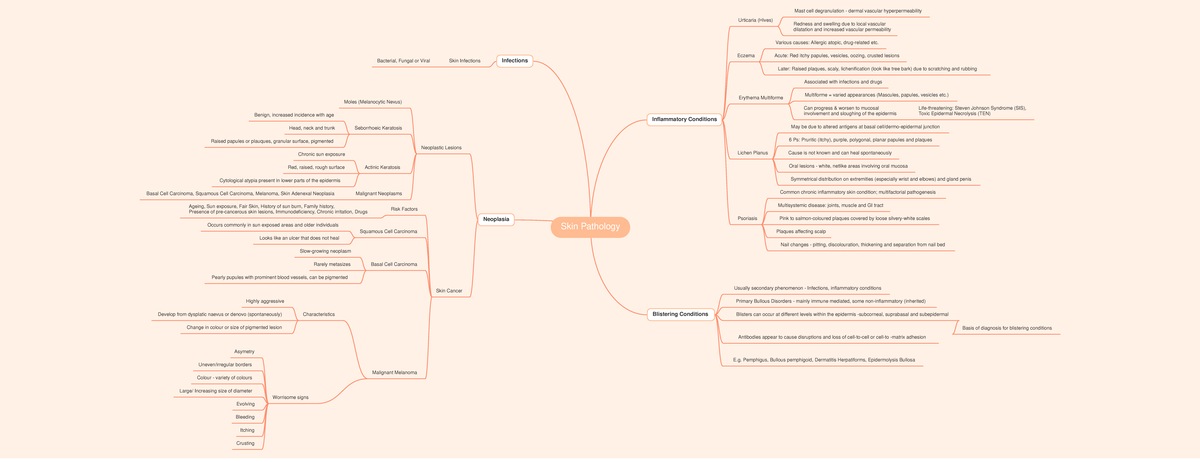 BS3104 Skin Pathology Mindmap - Skin Pathology Inflammatory Conditions ...