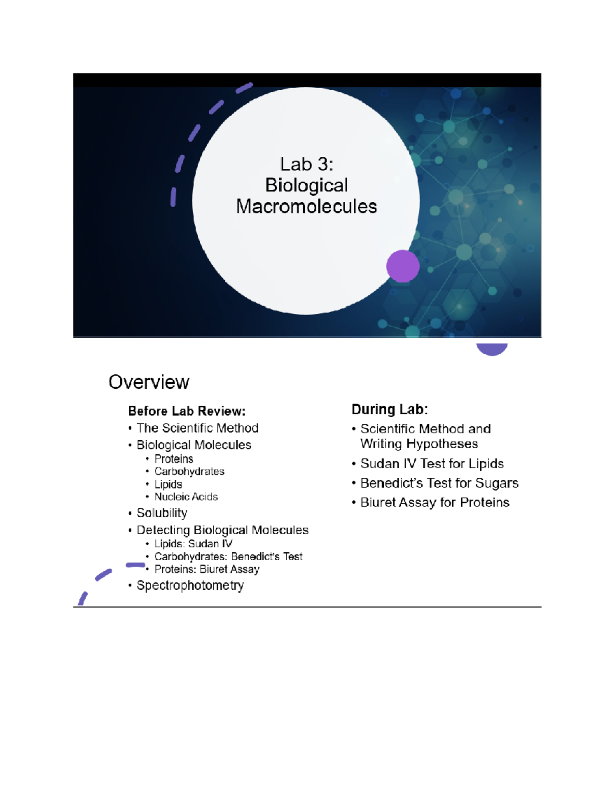 Ch. 3 Lab - Camille Lab - BIOL1107 - Studocu