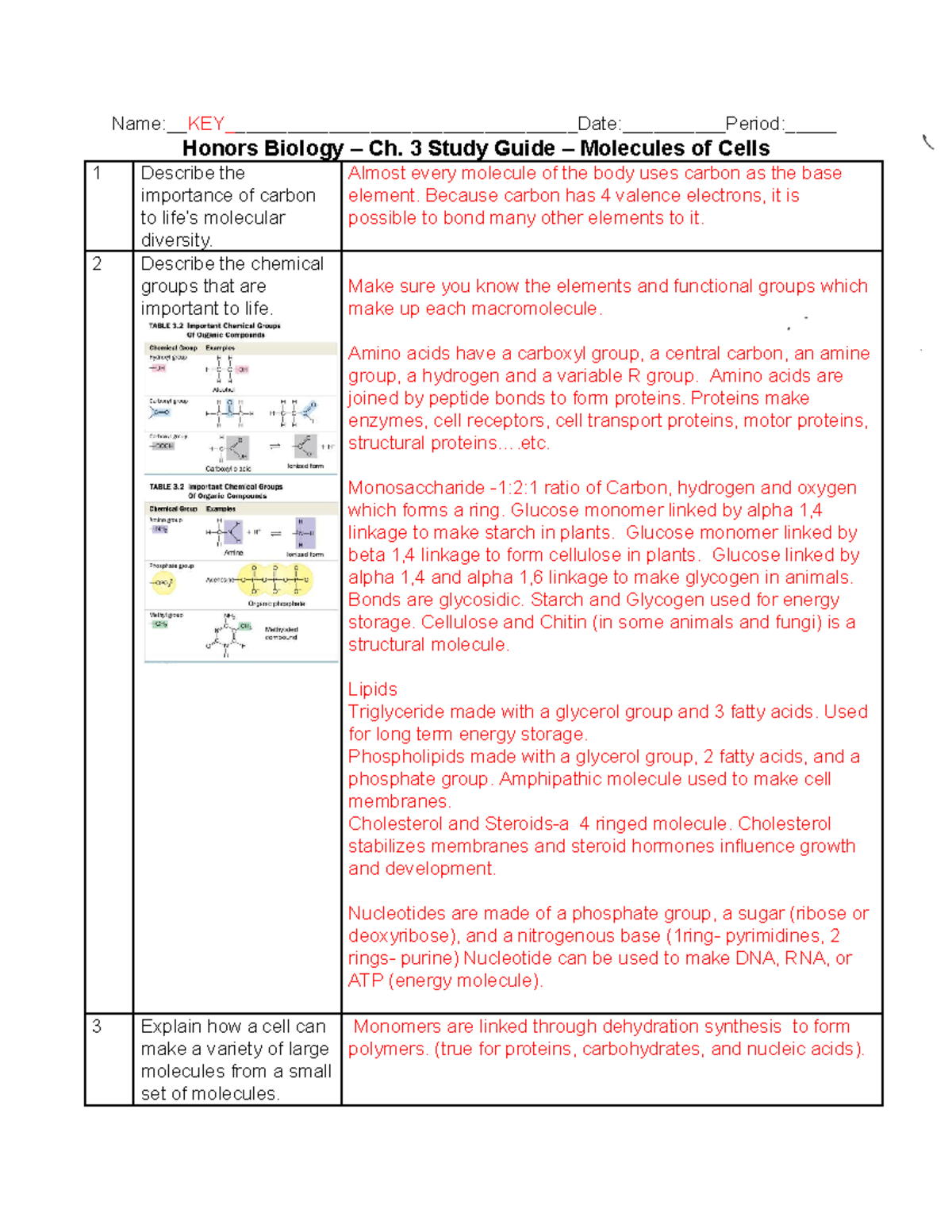 Key Bio H Ch. 3 Study Guide - Name:__KEY ...