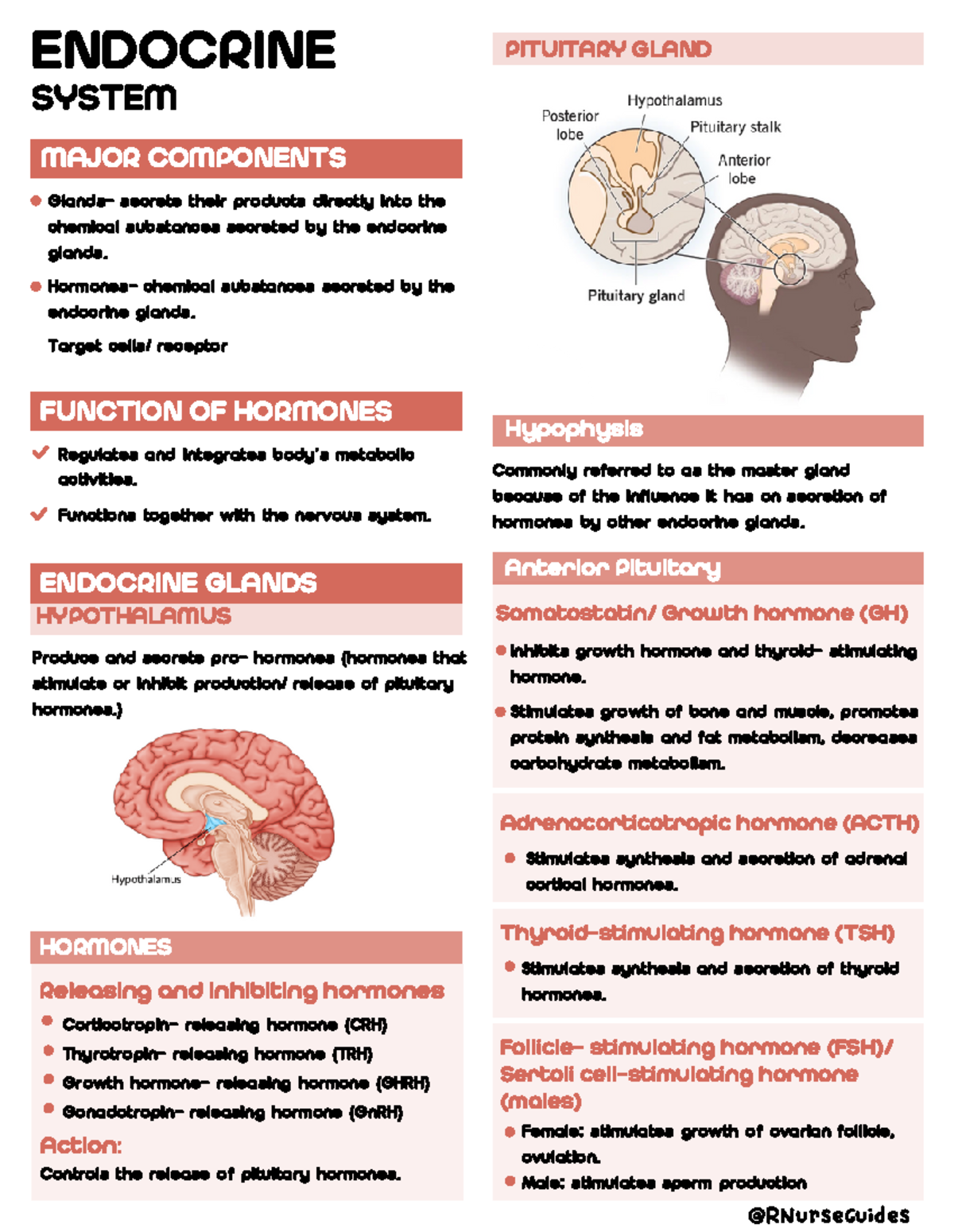 ENDO - ENDOCRINE SYSTEM MAJOR COMPONENTS Glands- secrete their products ...