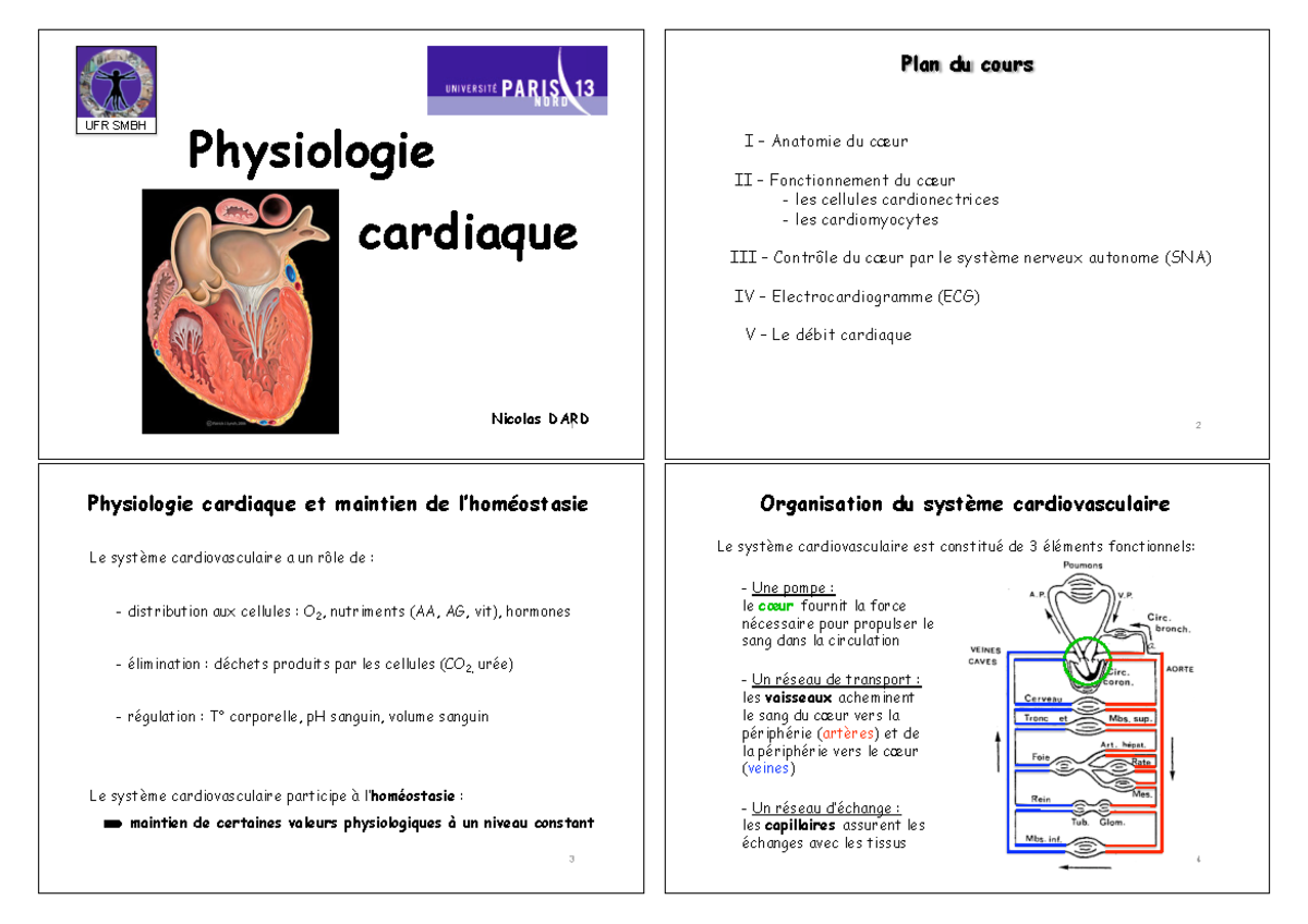 Physiologie-cardiaque - Physiologie Nicolas DARD UFR SMBH cardiaque 1 ...