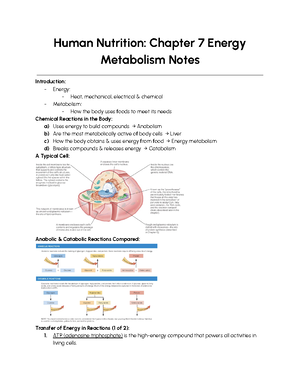 Human Nutrition- Chapter 1 An Overview of Nutrition Notes - Chapter 1 ...