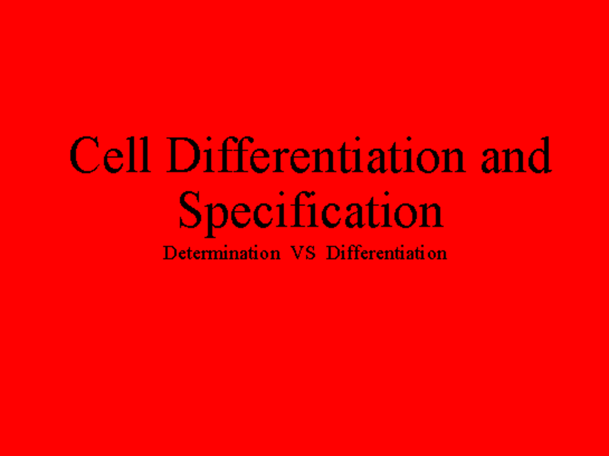 Lecture 1 - Dr B - Cell Differentiation and Specification Determination ...